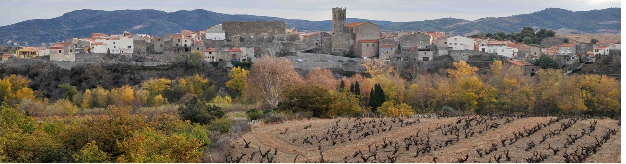 AOP Côtes du Roussillon Villages Latour de France - Vins du Roussillon
