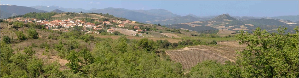 IGP Côtes Catalanes - Vins du Roussillon