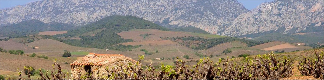 AOP Maury sec - Vins du Roussillon