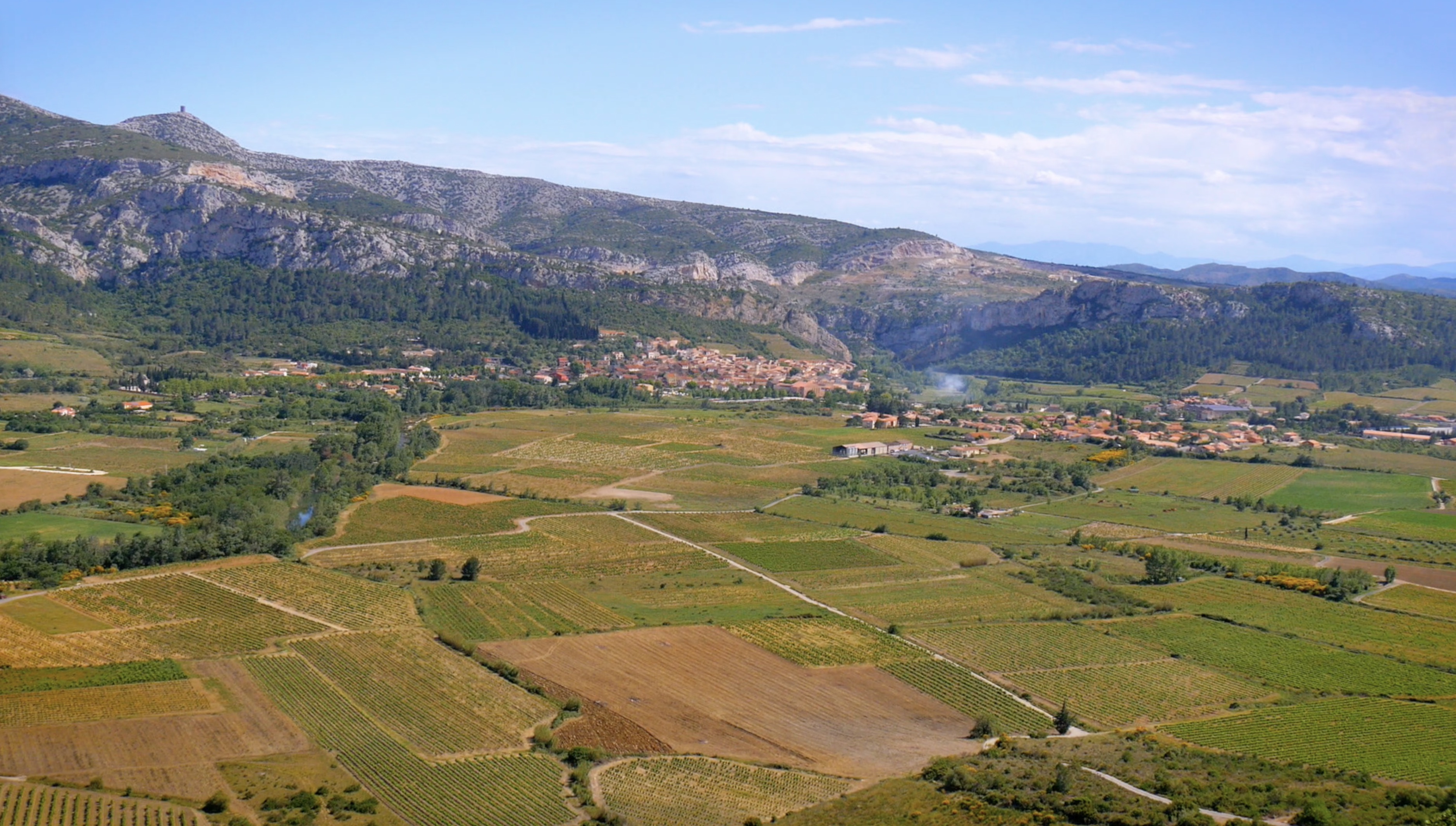 Nos AOP et IGP - Vins du Roussillon