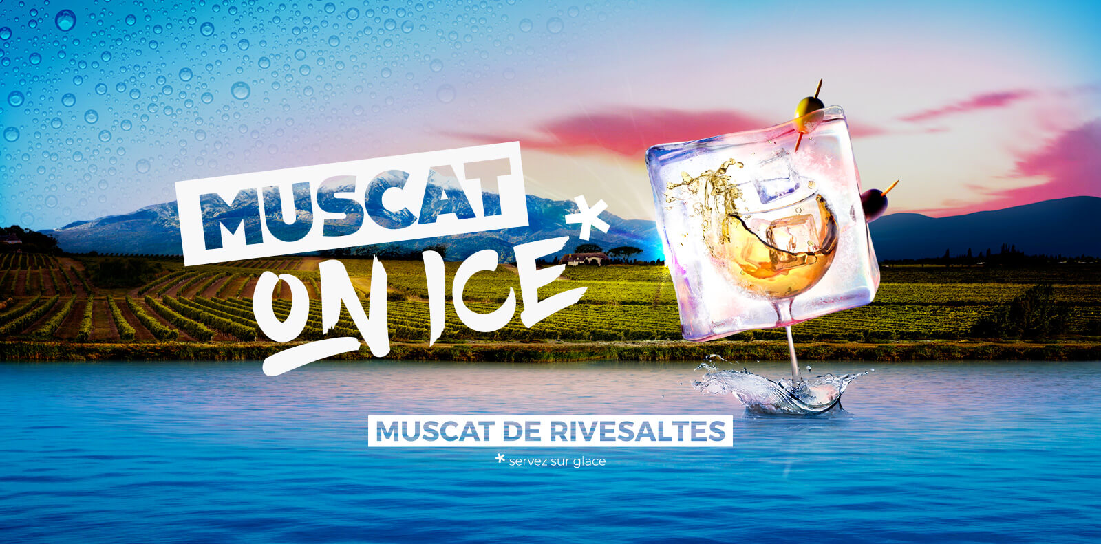 Muscat On Ice - Vins du Roussillon