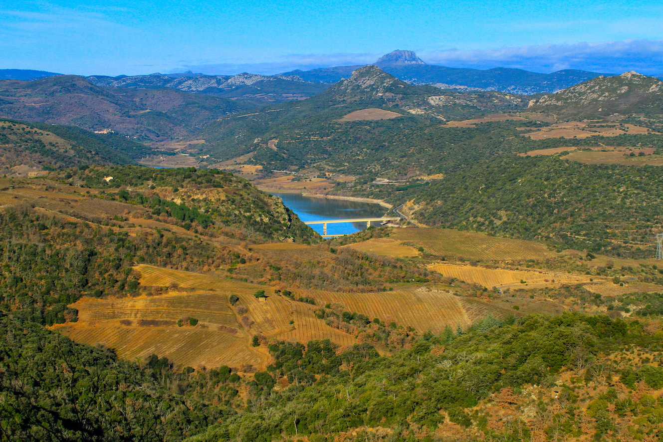 AOP Côtes du Roussillon Villages Caramany - Vins du Roussillon